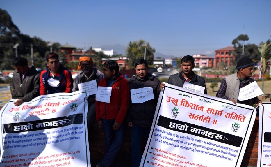 बूढो किसानको माइतीघरमा प्रदर्शन - NepalKhoj